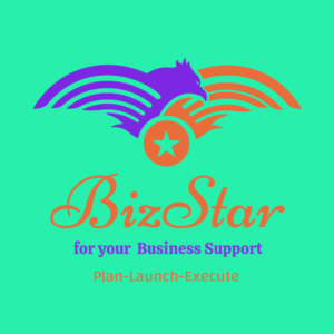 Marketing Consultant Home - BizStar
